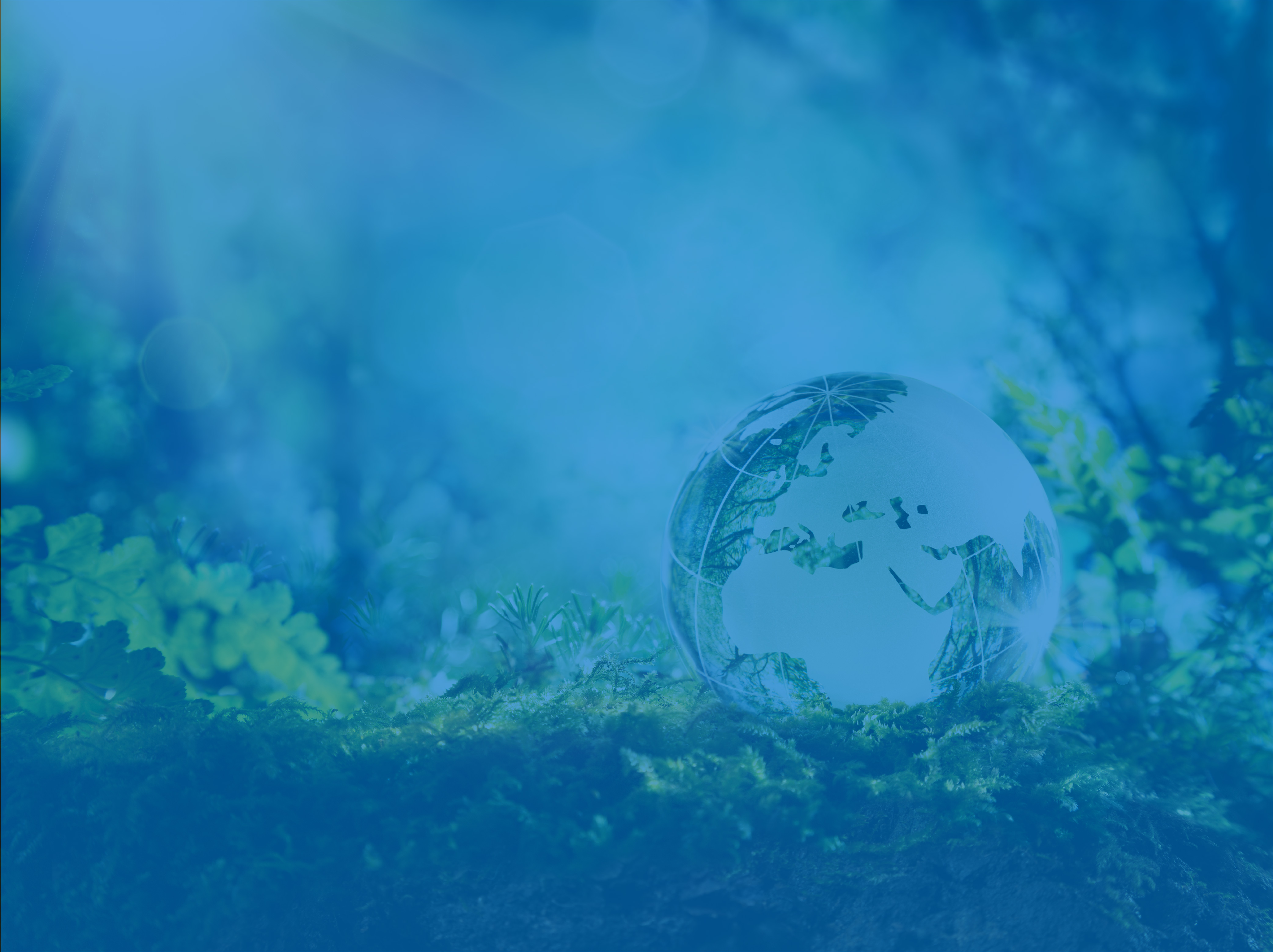 European Strategy for Plastics in a Circular Economy - Amerplast