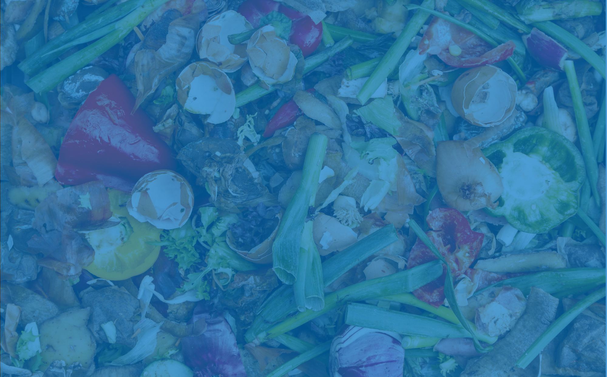 No food to waste - how to minimize food waste through packaging